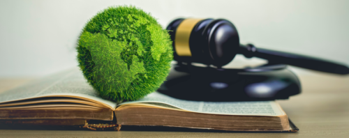 Environment Essentials - Understanding licences, permits and agreements